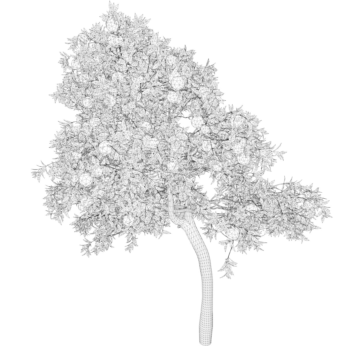 ArtStation - Orange Tree #03 - High Poly Tree (3D Model) | Game Assets