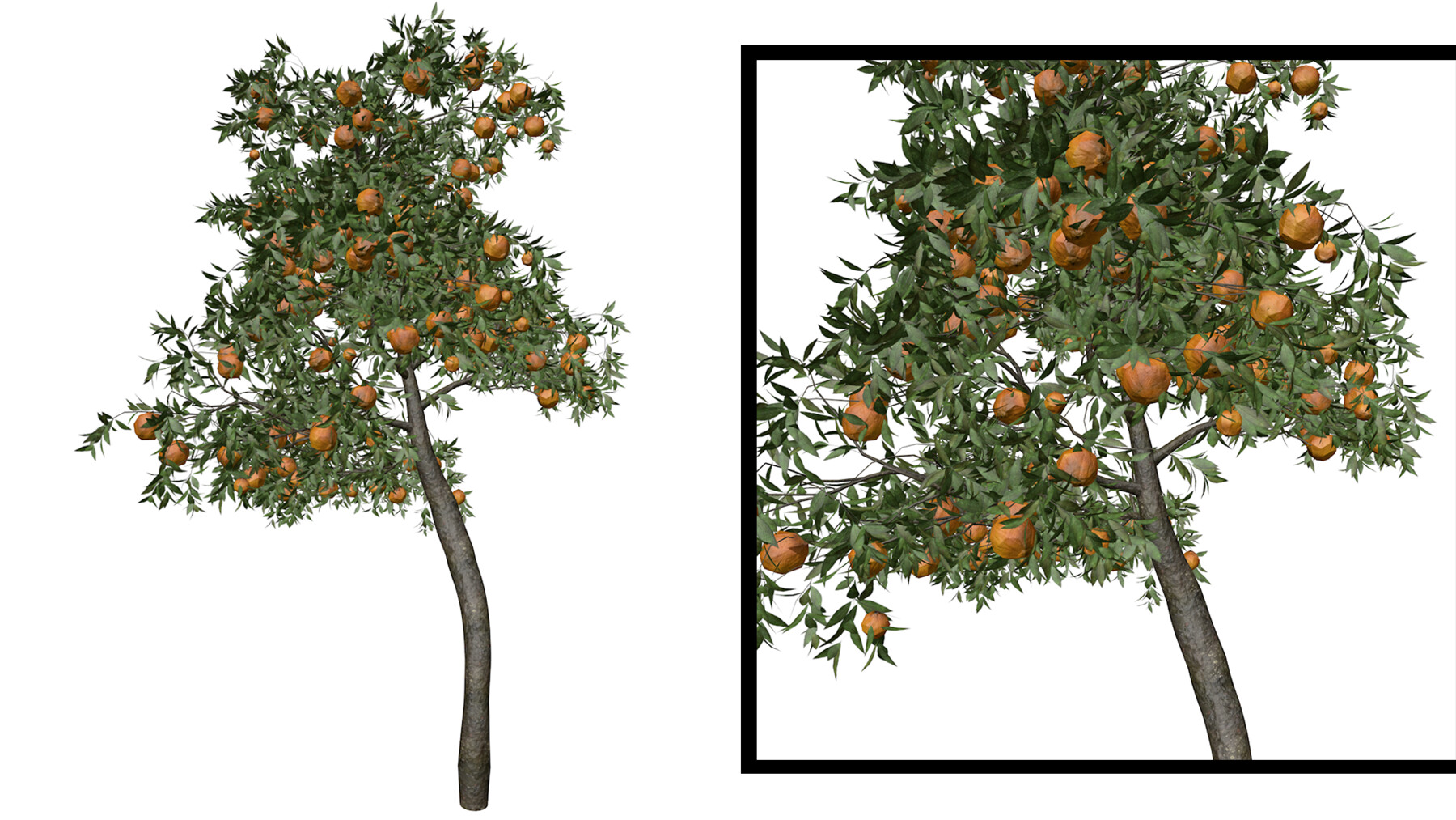 ArtStation - Orange Tree #04 - High Poly Tree (3D Model) | Game Assets