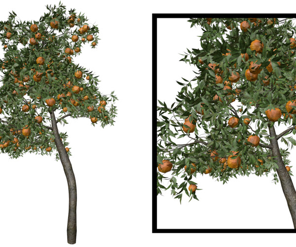 ArtStation - Orange Tree #04 - High Poly Tree (3D Model) | Game Assets