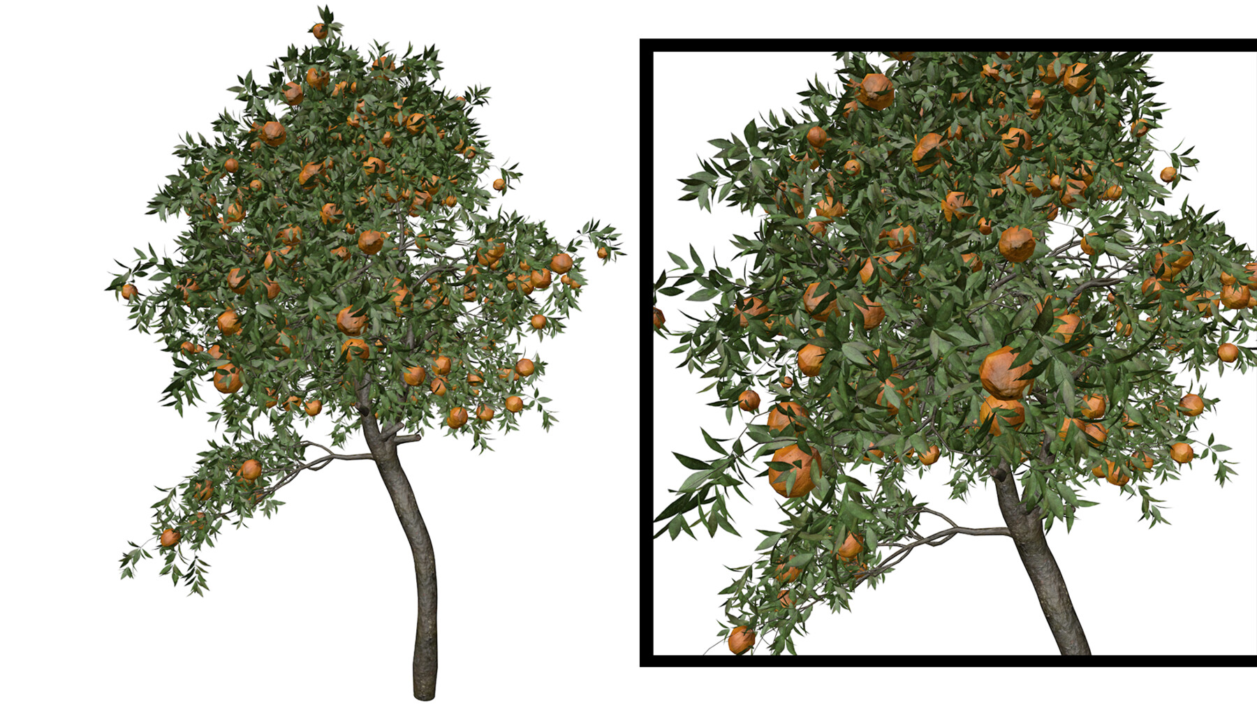 ArtStation - Orange Tree #06 - High Poly Tree (3D Model) | Game Assets