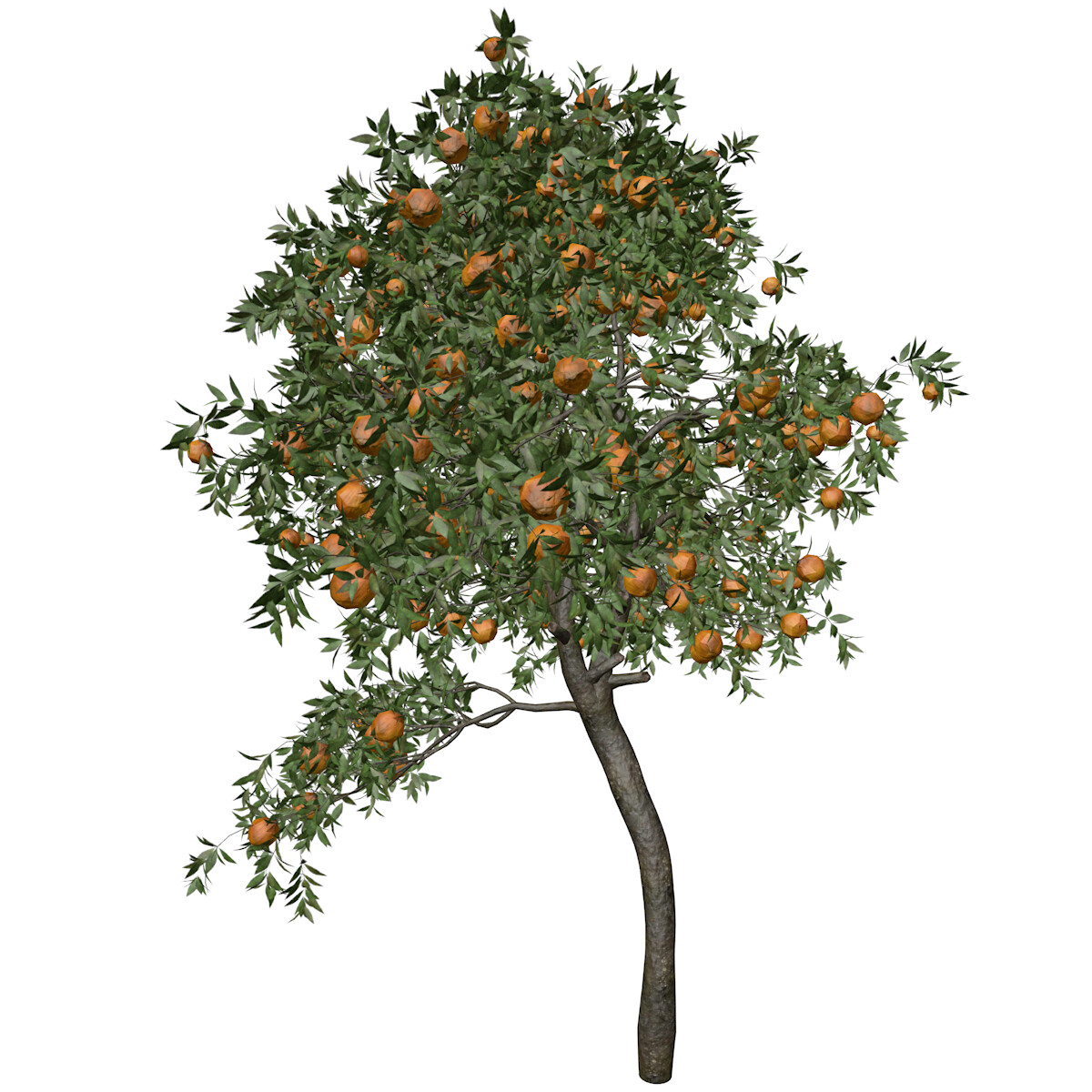 ArtStation - Orange Tree #06 - High Poly Tree (3D Model) | Game Assets