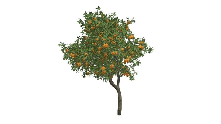 ArtStation - Orange Tree #07 - High Poly Tree (3D Model) | Game Assets