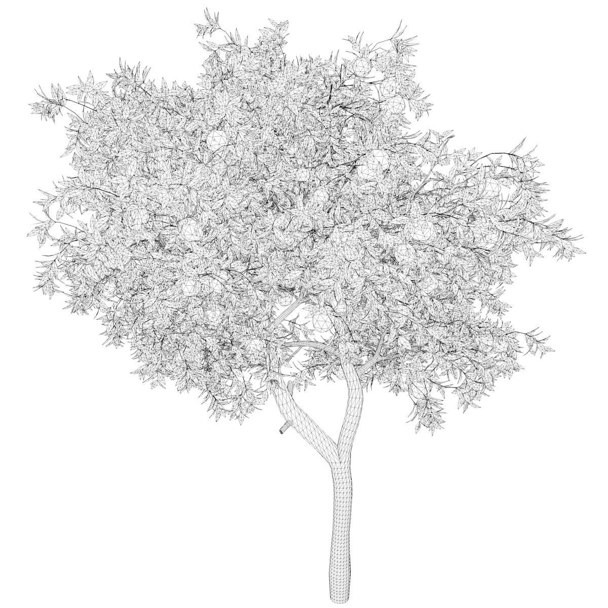 ArtStation - Orange Tree #07 - High Poly Tree (3D Model) | Game Assets