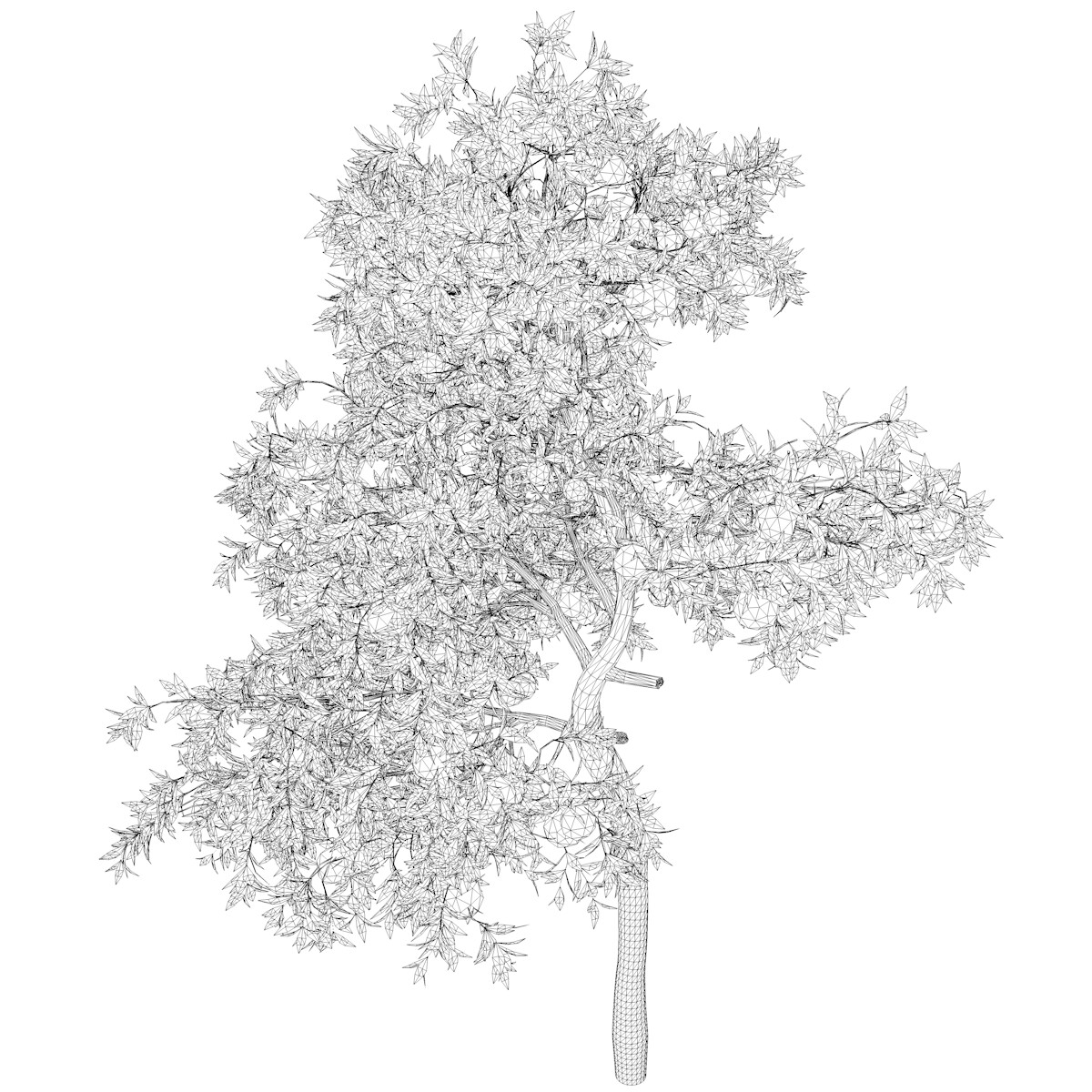 ArtStation - Orange Tree #08 - High Poly Tree (3D Model) | Game Assets