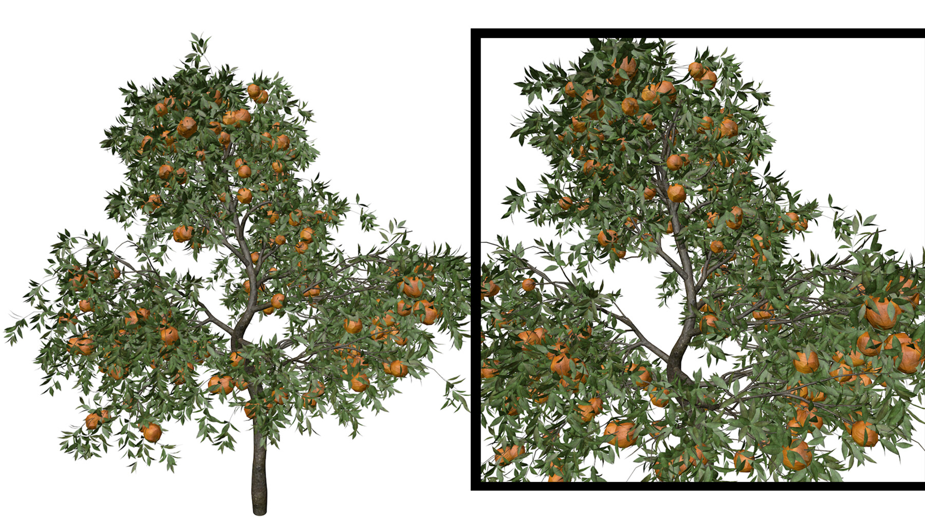 ArtStation - Orange Tree #09 - High Poly Tree (3D Model) | Game Assets
