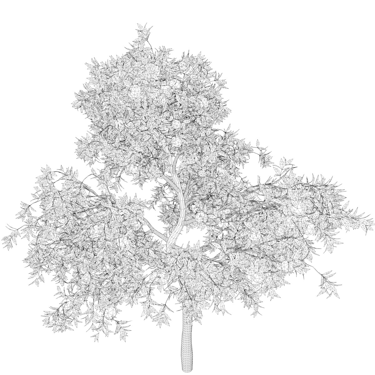 ArtStation - Orange Tree #09 - High Poly Tree (3D Model) | Game Assets