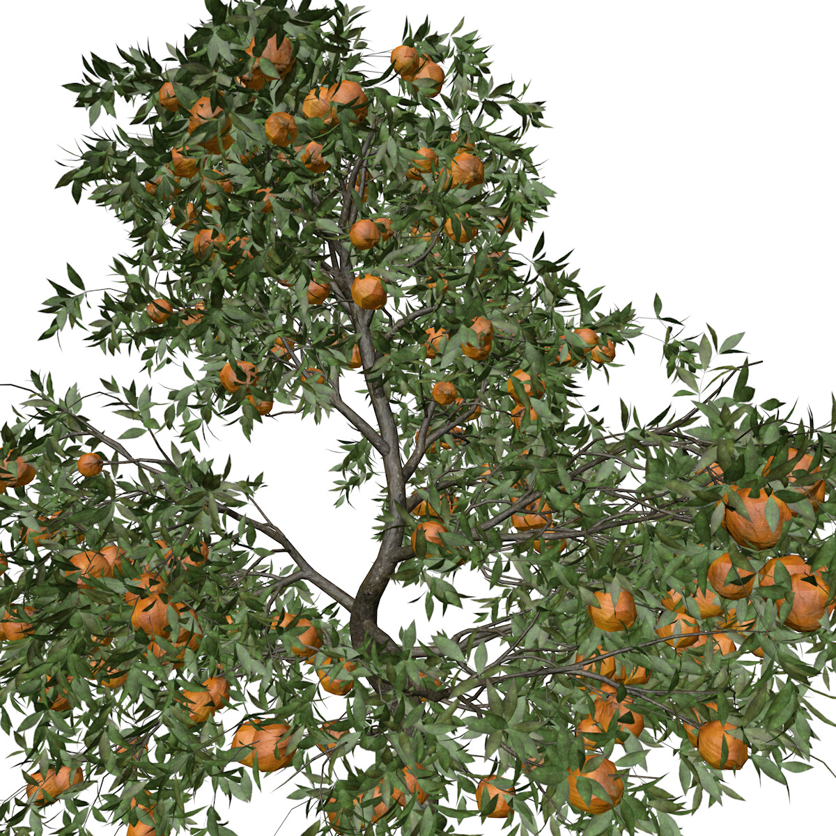 ArtStation - Orange Tree #09 - High Poly Tree (3D Model) | Game Assets