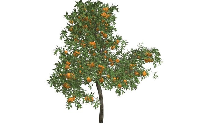 ArtStation - Orange Tree #09 - High Poly Tree (3D Model) | Game Assets