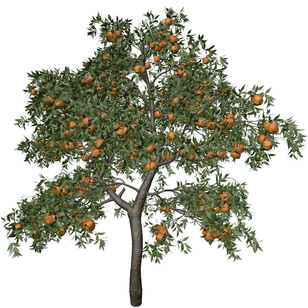 ArtStation - Orange Tree #10 - High Poly Tree (3D Model) | Game Assets