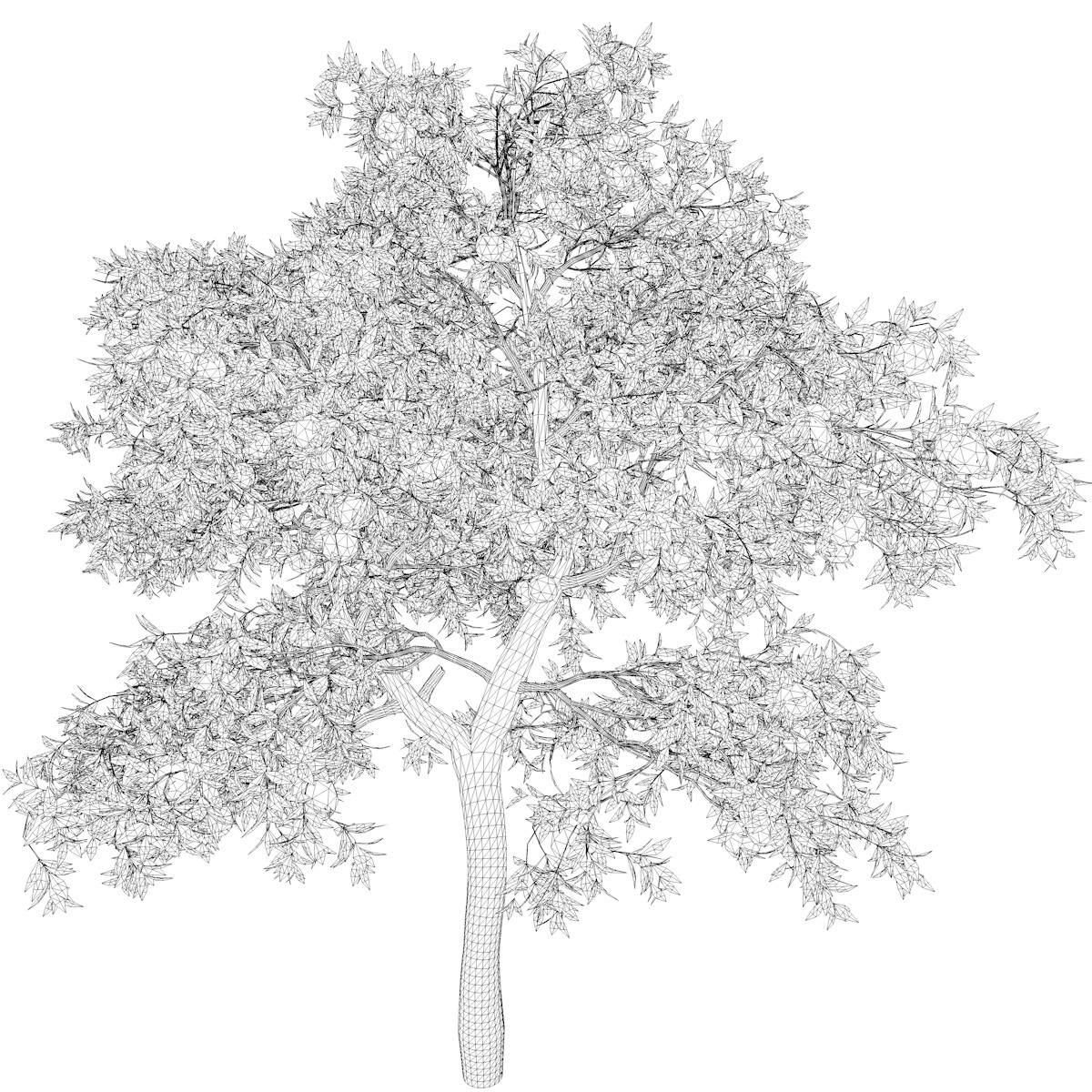 ArtStation - Orange Tree #10 - High Poly Tree (3D Model) | Game Assets