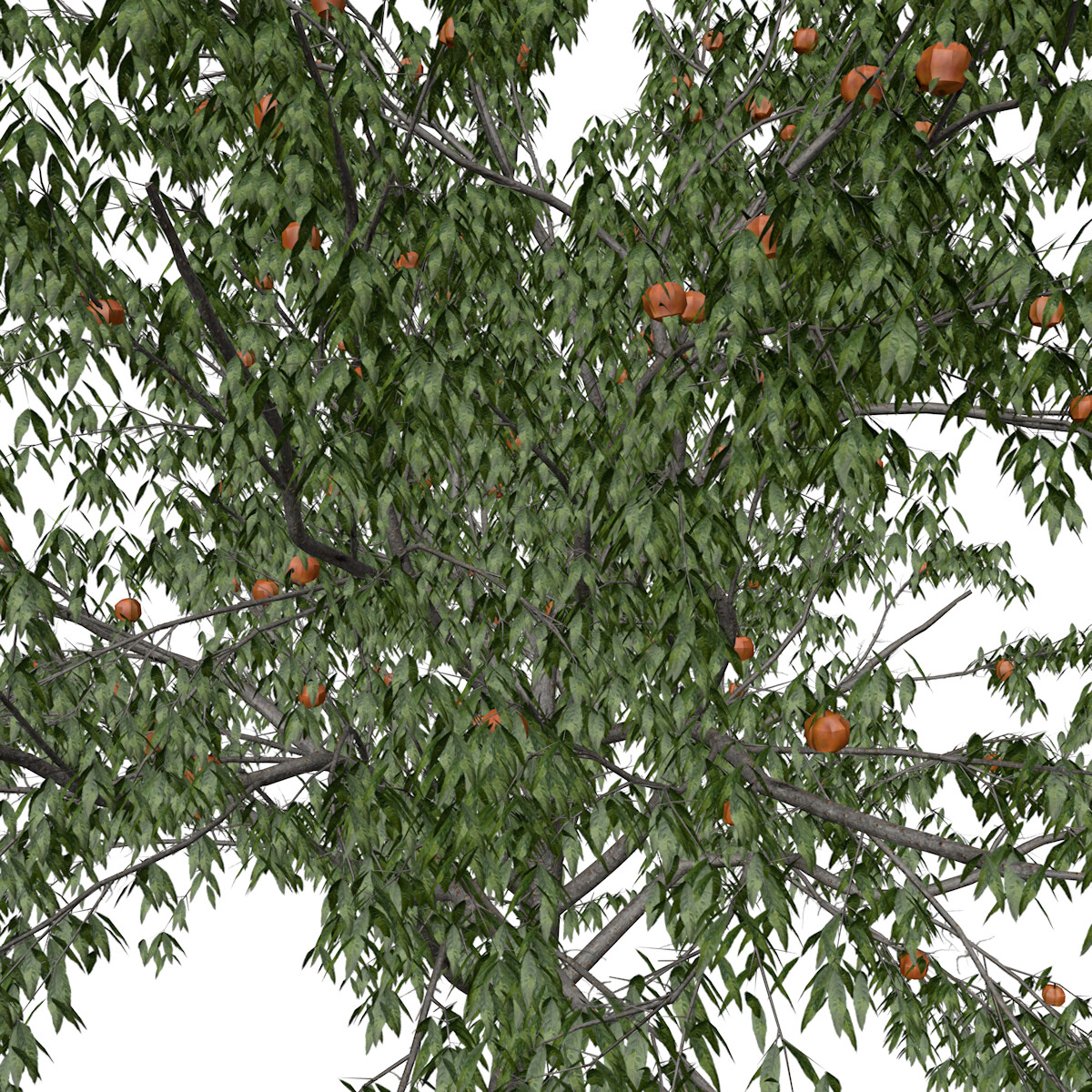 ArtStation - Peach Tree #01 - High Poly Tree (3D Model) | Game Assets