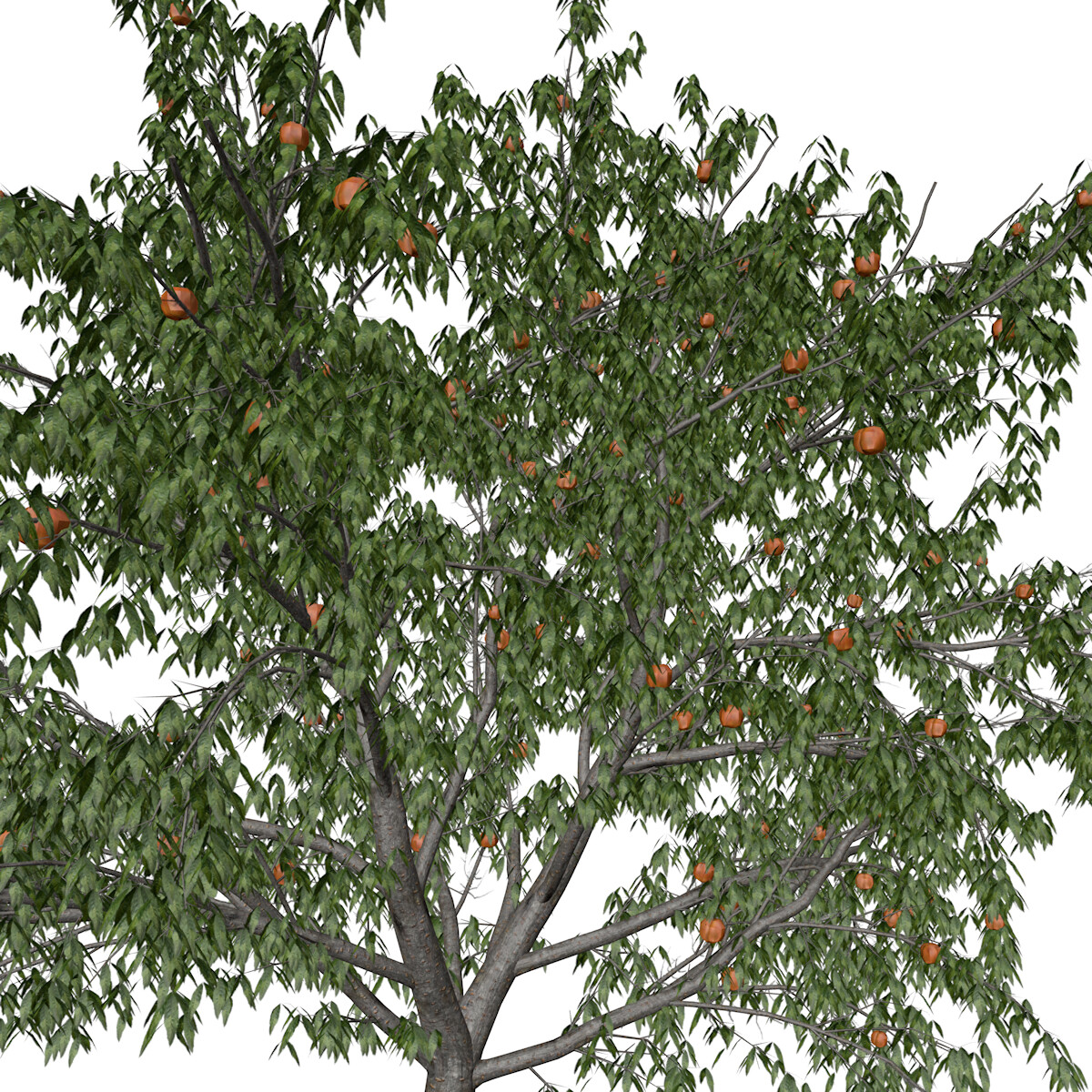 ArtStation - Peach Tree #04 - High Poly Tree (3D Model) | Game Assets