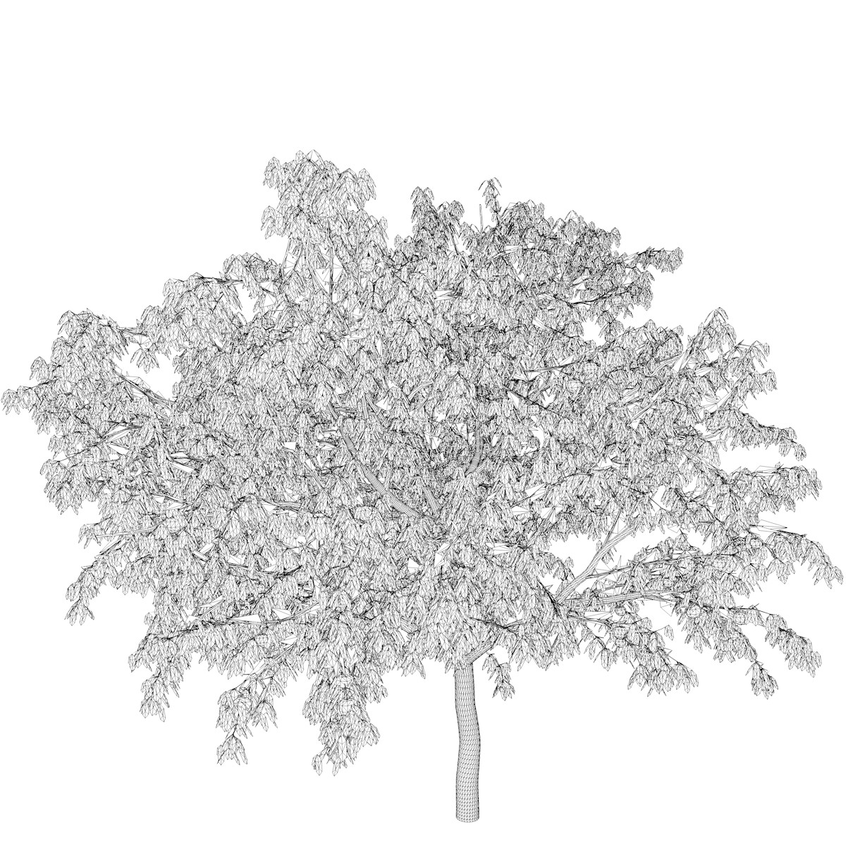 ArtStation - Peach Tree #06 - High Poly Tree (3D Model) | Game Assets