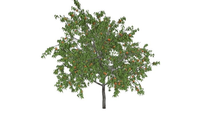ArtStation - Peach Tree #07 - High Poly Tree (3D Model) | Game Assets