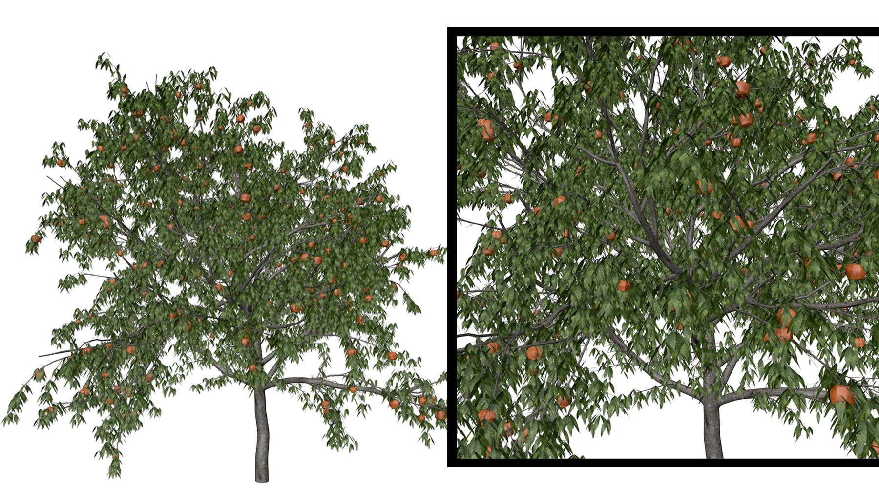 ArtStation - Peach Tree #08 - High Poly Tree (3D Model) | Game Assets
