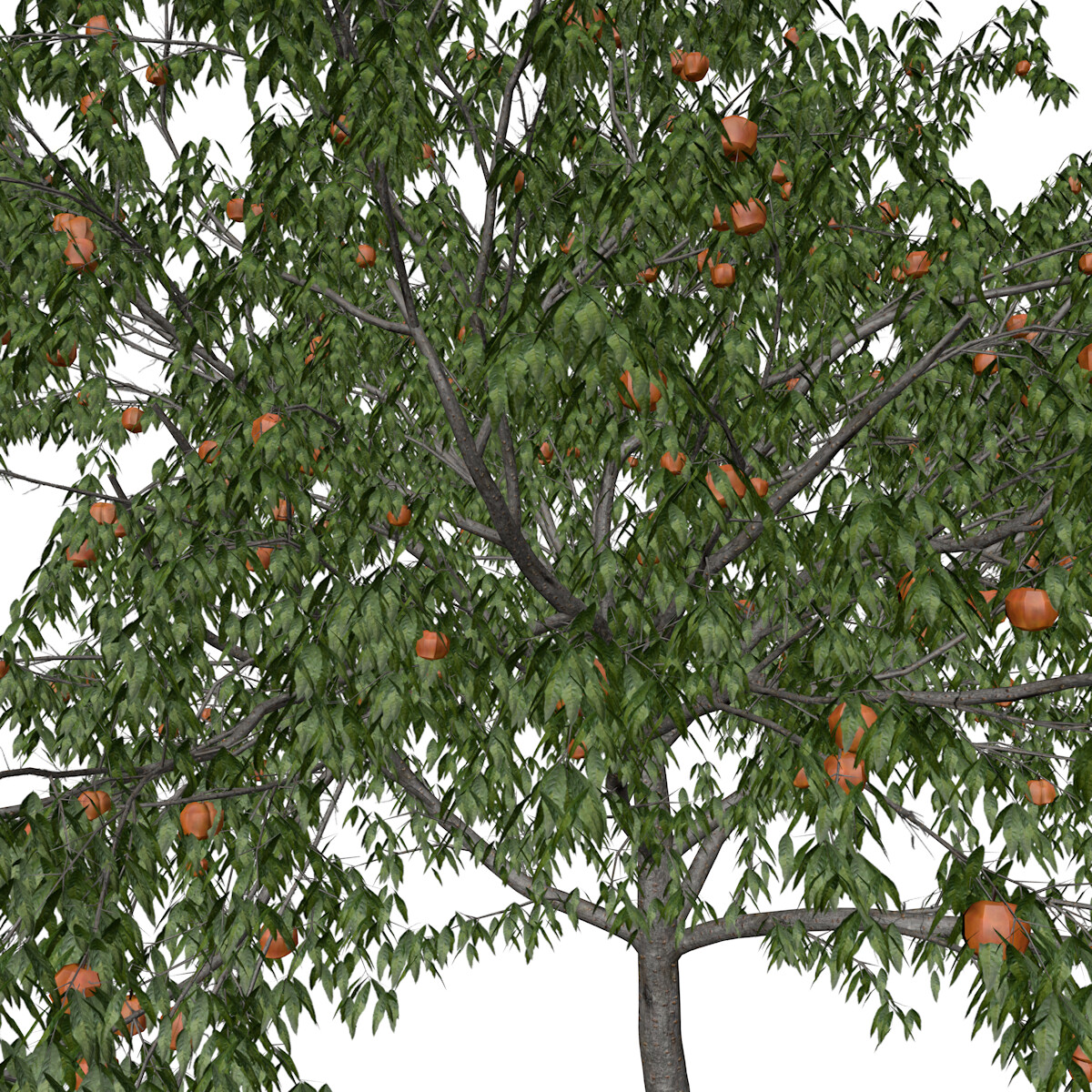 ArtStation - Peach Tree #08 - High Poly Tree (3D Model) | Game Assets