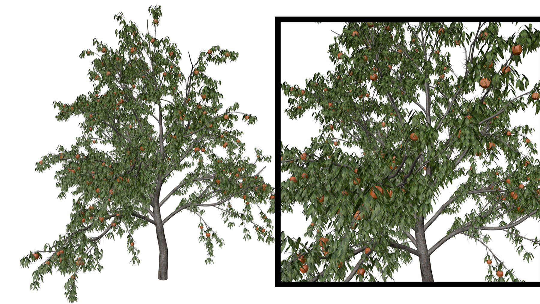 ArtStation - Peach Tree #09 - High Poly Tree (3D Model) | Game Assets