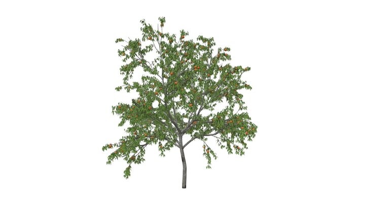 ArtStation - Peach Tree #10 - High Poly Tree (3D Model) | Game Assets