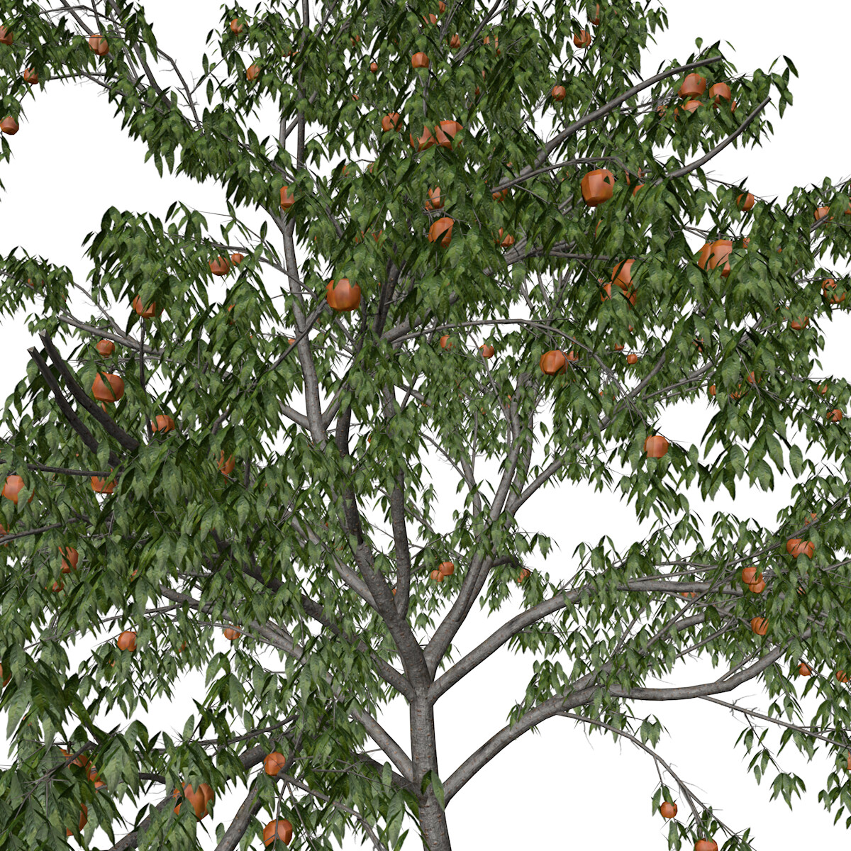 ArtStation - Peach Tree #10 - High Poly Tree (3D Model) | Game Assets