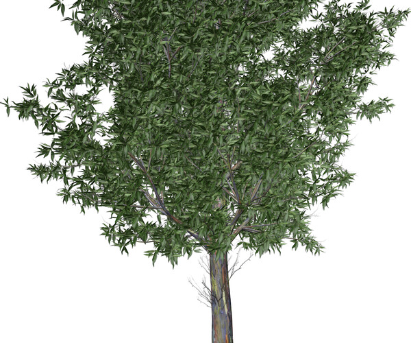 ArtStation - Rainbow Gum Tree #07 - High Poly Tree (3D Model) | Game Assets