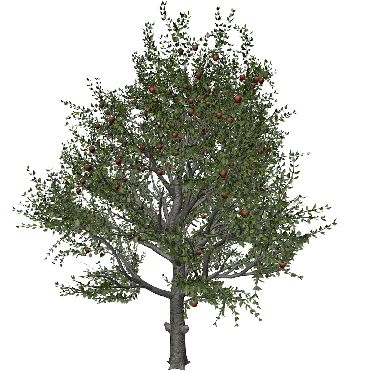 ArtStation - Red Delicious Apple Tree #01 - High Poly Tree (3D Model ...