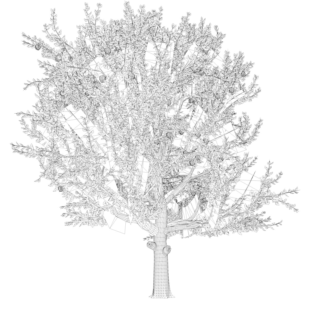 ArtStation - Red Delicious Apple Tree #02 - High Poly Tree (3D Model ...