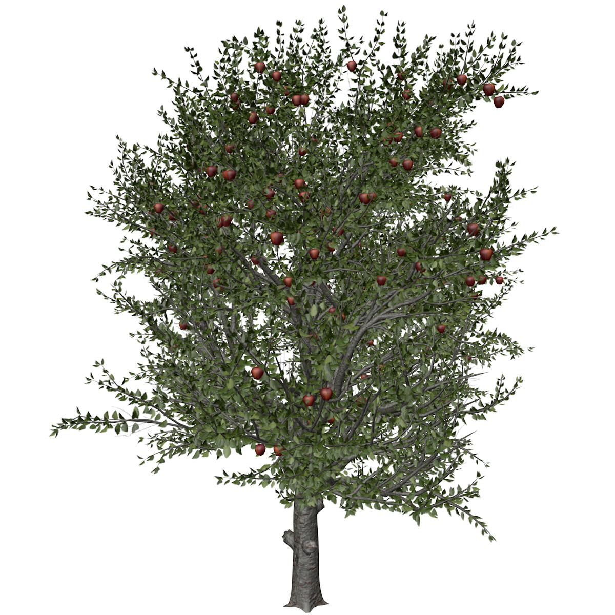 ArtStation - Red Delicious Apple Tree #04 - High Poly Tree (3D Model ...