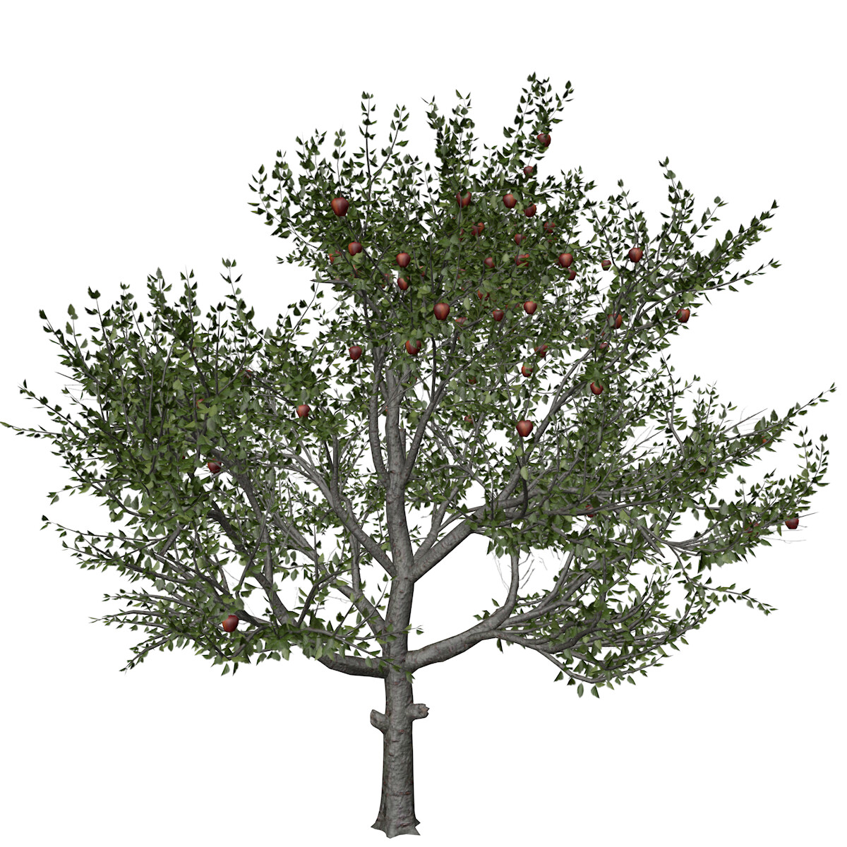 ArtStation - Red Delicious Apple Tree #05 - High Poly Tree (3D Model ...