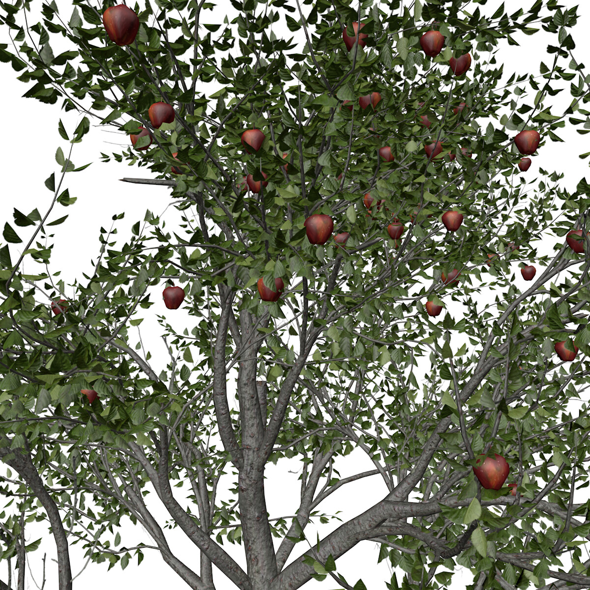 ArtStation - Red Delicious Apple Tree #05 - High Poly Tree (3D Model ...