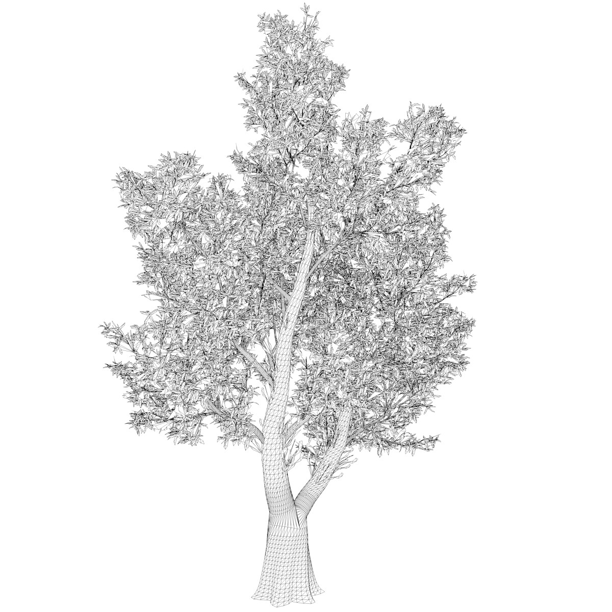 ArtStation - Red Gum Tree #01 - High Poly Tree (3D Model) | Game Assets