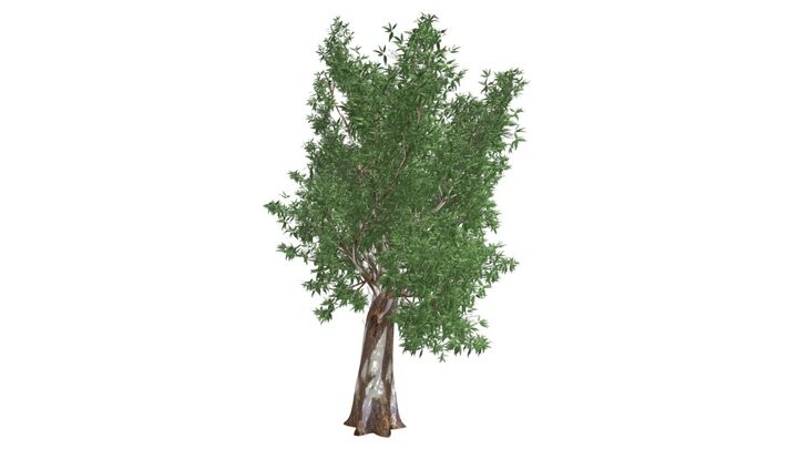 ArtStation - Red Gum Tree #03 - High Poly Tree (3D Model) | Game Assets