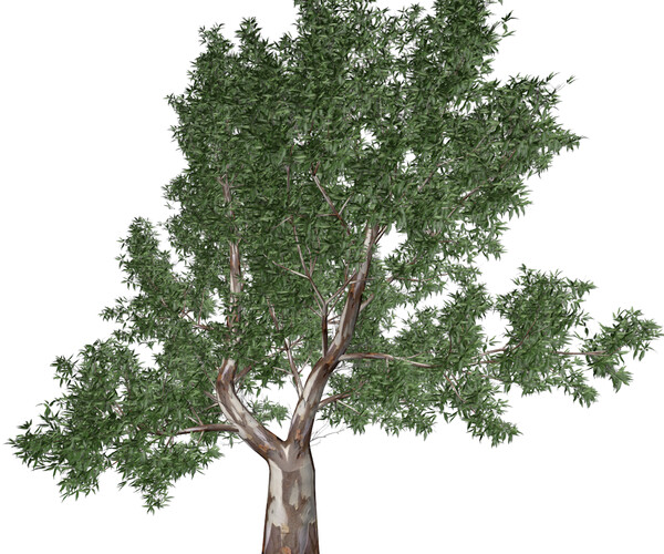 ArtStation - Red Gum Tree #05 - High Poly Tree (3D Model) | Game Assets