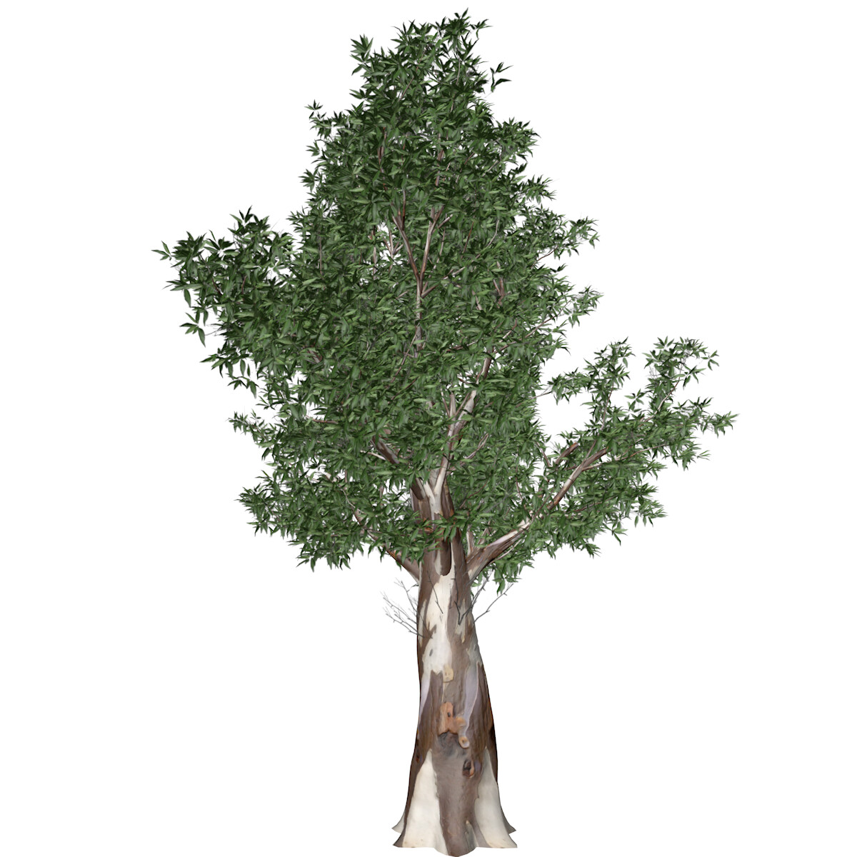 ArtStation - Red Gum Tree #06 - High Poly Tree (3D Model) | Game Assets