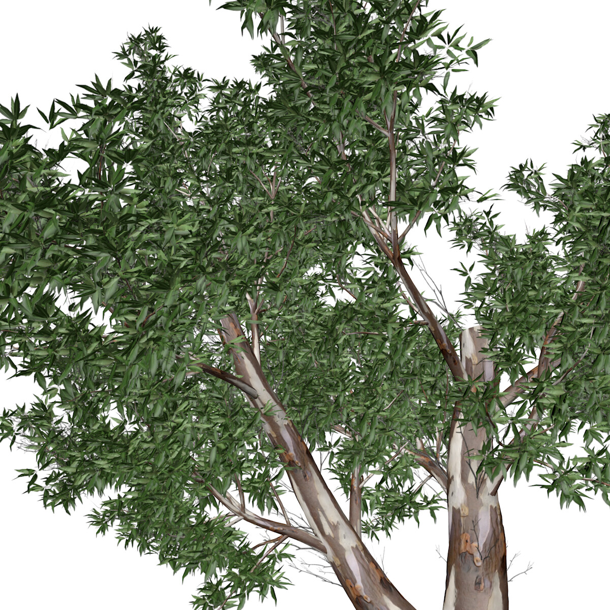 ArtStation - Red Gum Tree #07 - High Poly Tree (3D Model) | Game Assets