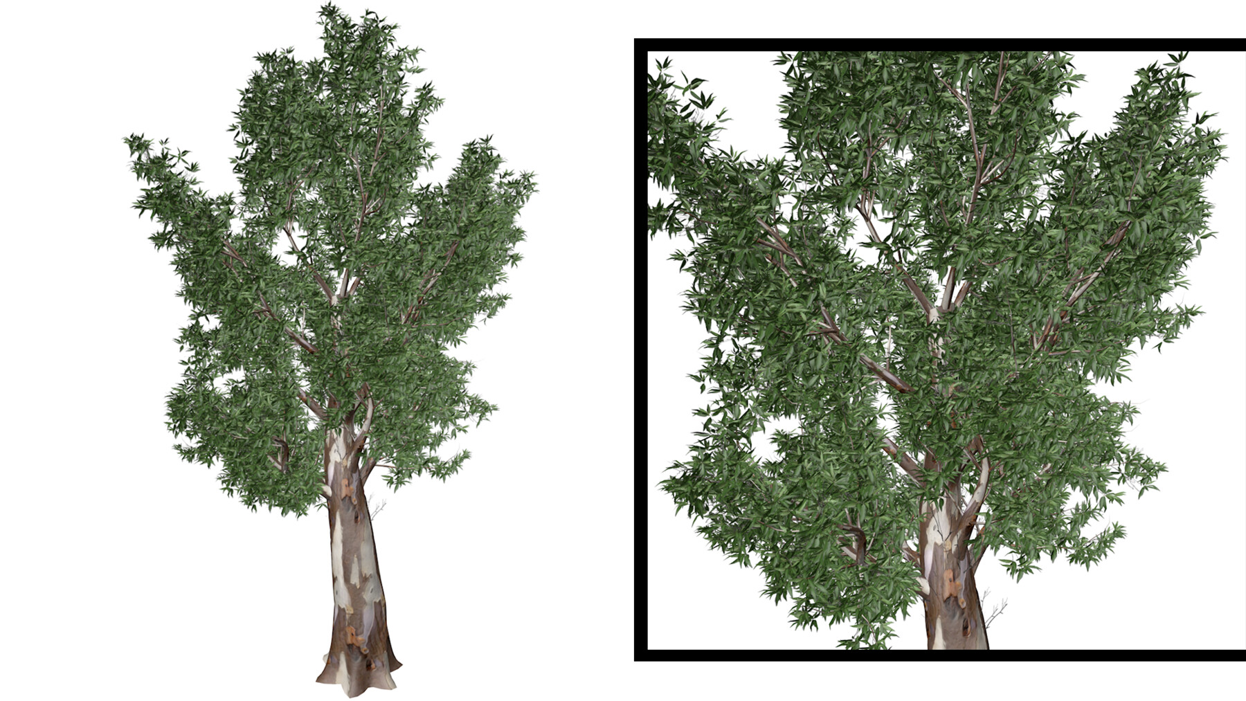 ArtStation - Red Gum Tree #10 - High Poly Tree (3D Model) | Game Assets