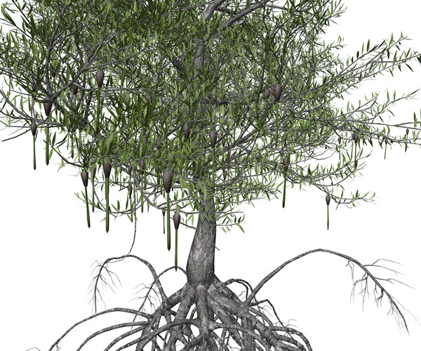 ArtStation - Red Mangrove Tree #05 - High Poly Tree (3D Model) | Game ...