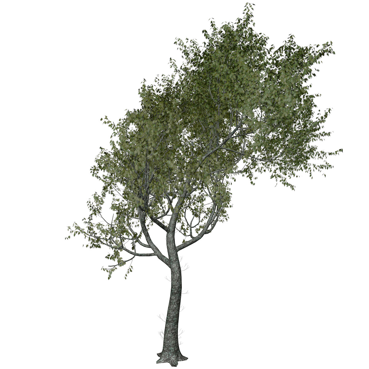 ArtStation - Red Oak Tree #06 - High Poly Tree (3D Model) | Game Assets