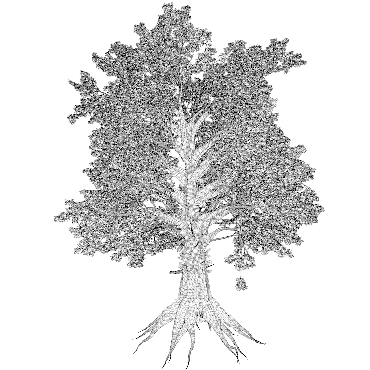 ArtStation - Sassafras Tree #06 - High Poly Tree (3D Model) | Game Assets