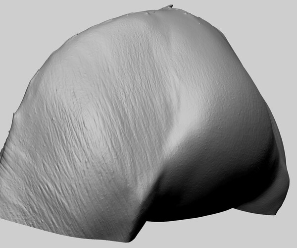 ArtStation - Lauma Head for 3DPrint | Resources