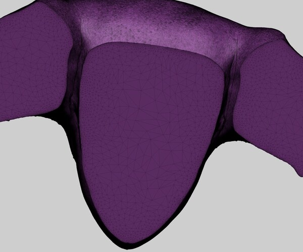 ArtStation - Lauma Head for 3DPrint | Resources