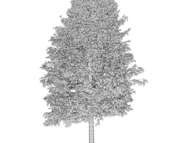 ArtStation - Shingle Oak Tree #02 - High Poly Tree (3D Model) | Game Assets