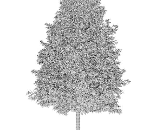 ArtStation - Shingle Oak Tree #09 - High Poly Tree (3D Model) | Game Assets