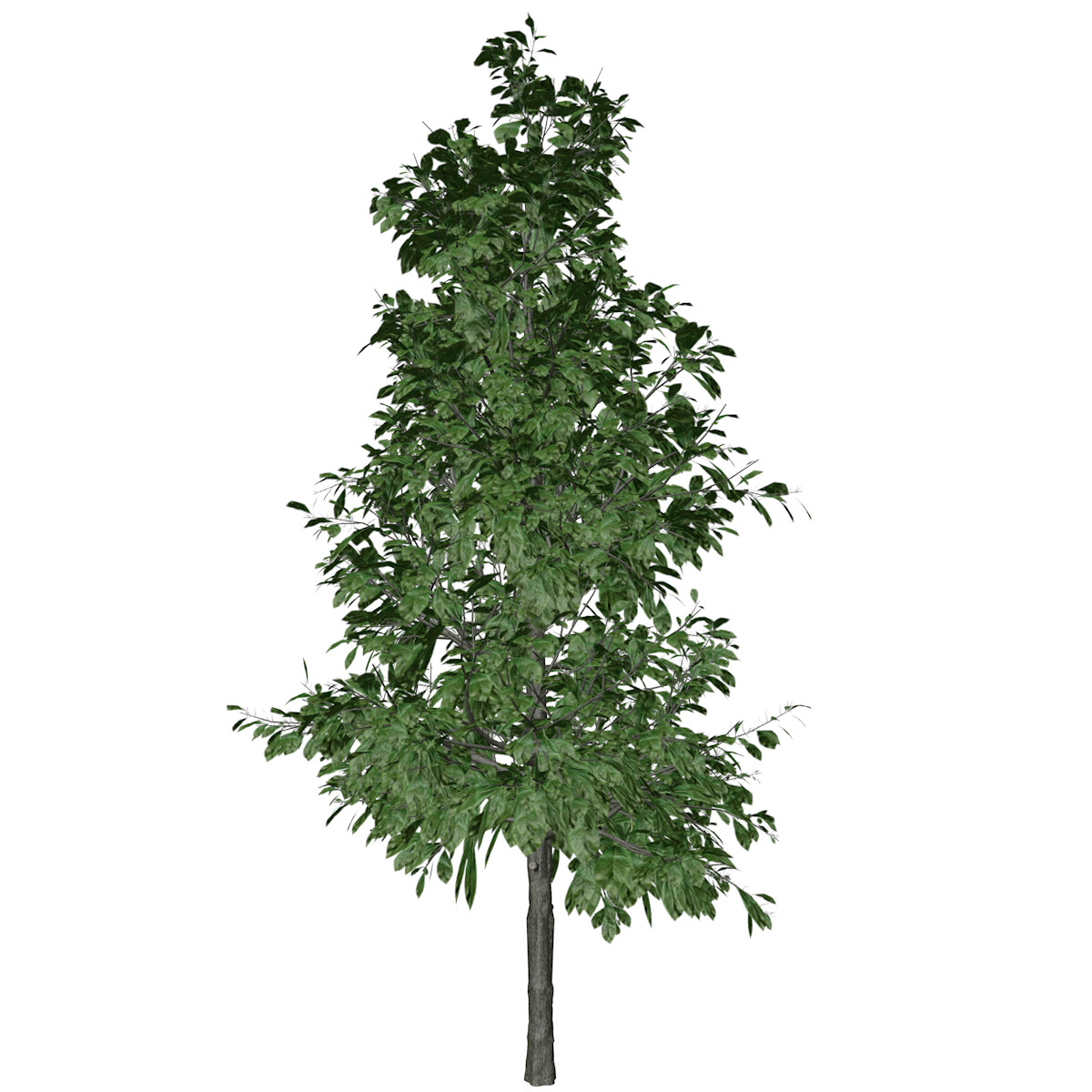ArtStation - Sourwood Tree #10 - High Poly Tree (3D Model) | Game Assets
