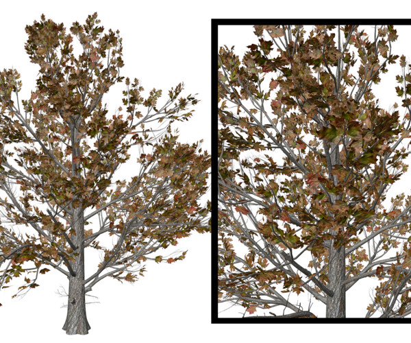 ArtStation - Sugar Maple Tree (in the Fall) #06 - High Poly Tree (3D ...