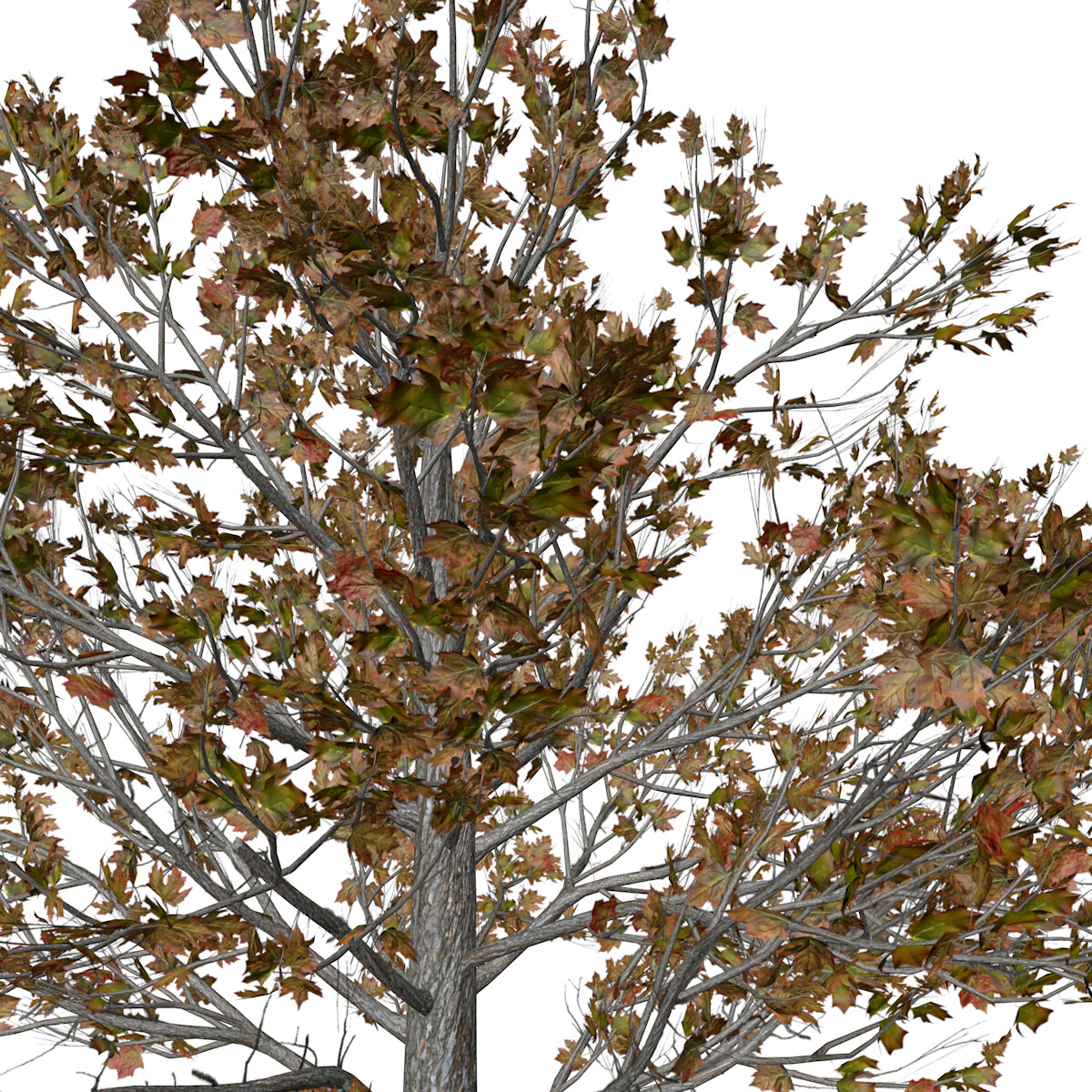 ArtStation - Sugar Maple Tree (in the Fall) #06 - High Poly Tree (3D ...
