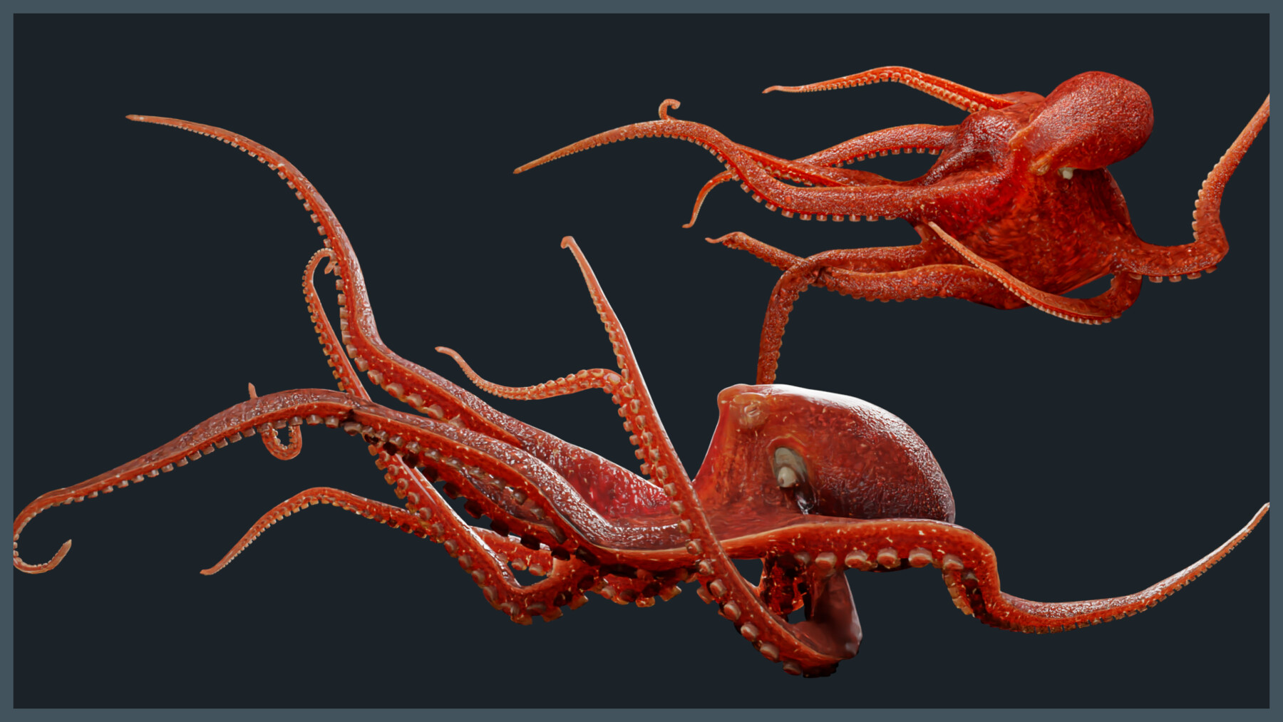 ArtStation - Octopus Maker | Game Assets