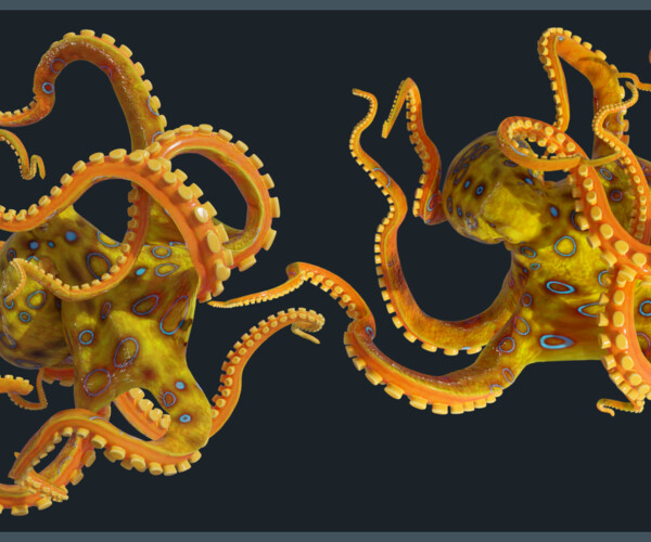 ArtStation - Octopus Maker | Game Assets