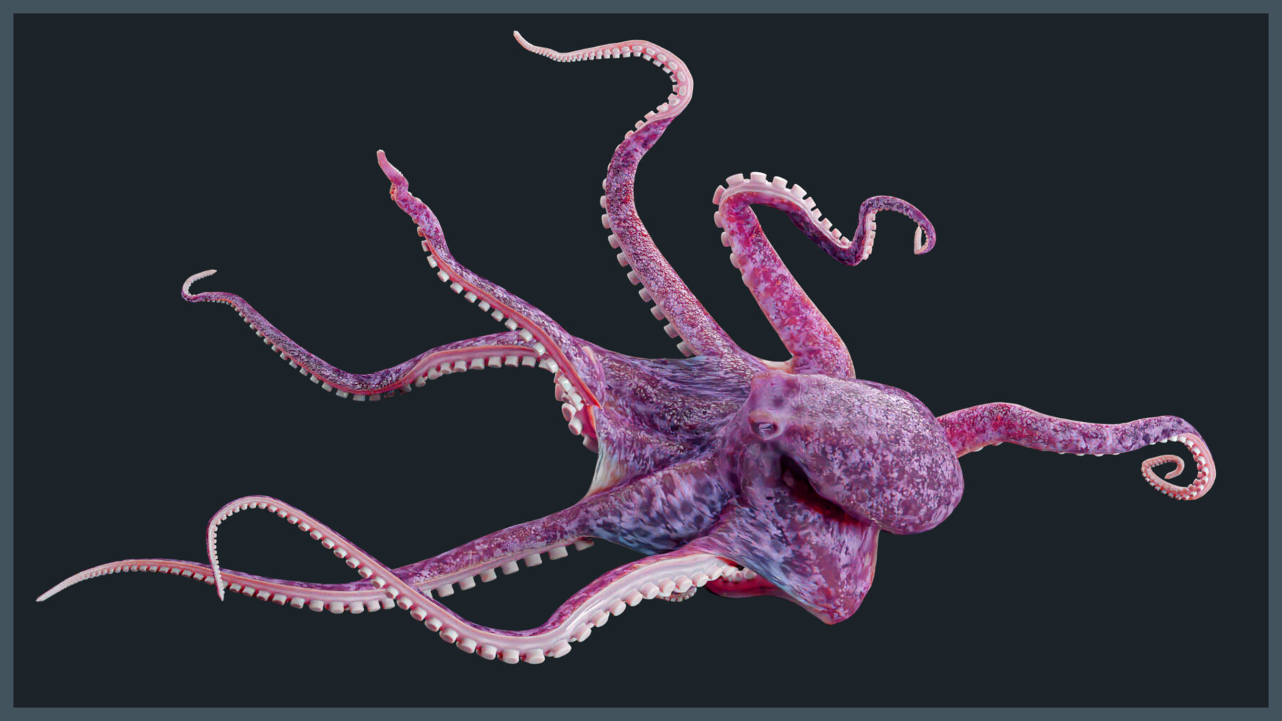 ArtStation - Octopus Maker | Game Assets