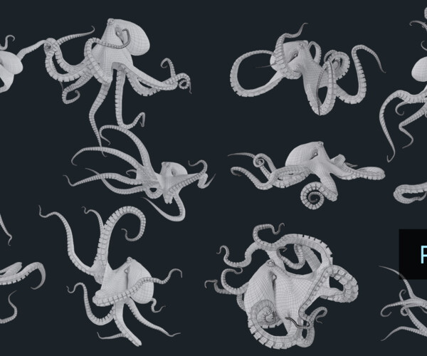 ArtStation - Octopus Maker | Game Assets
