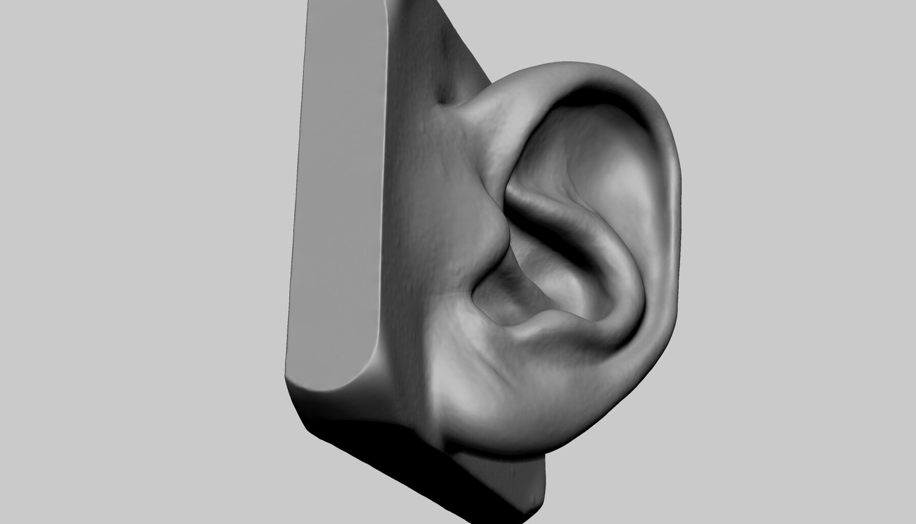 ArtStation - Ear Model B | Resources